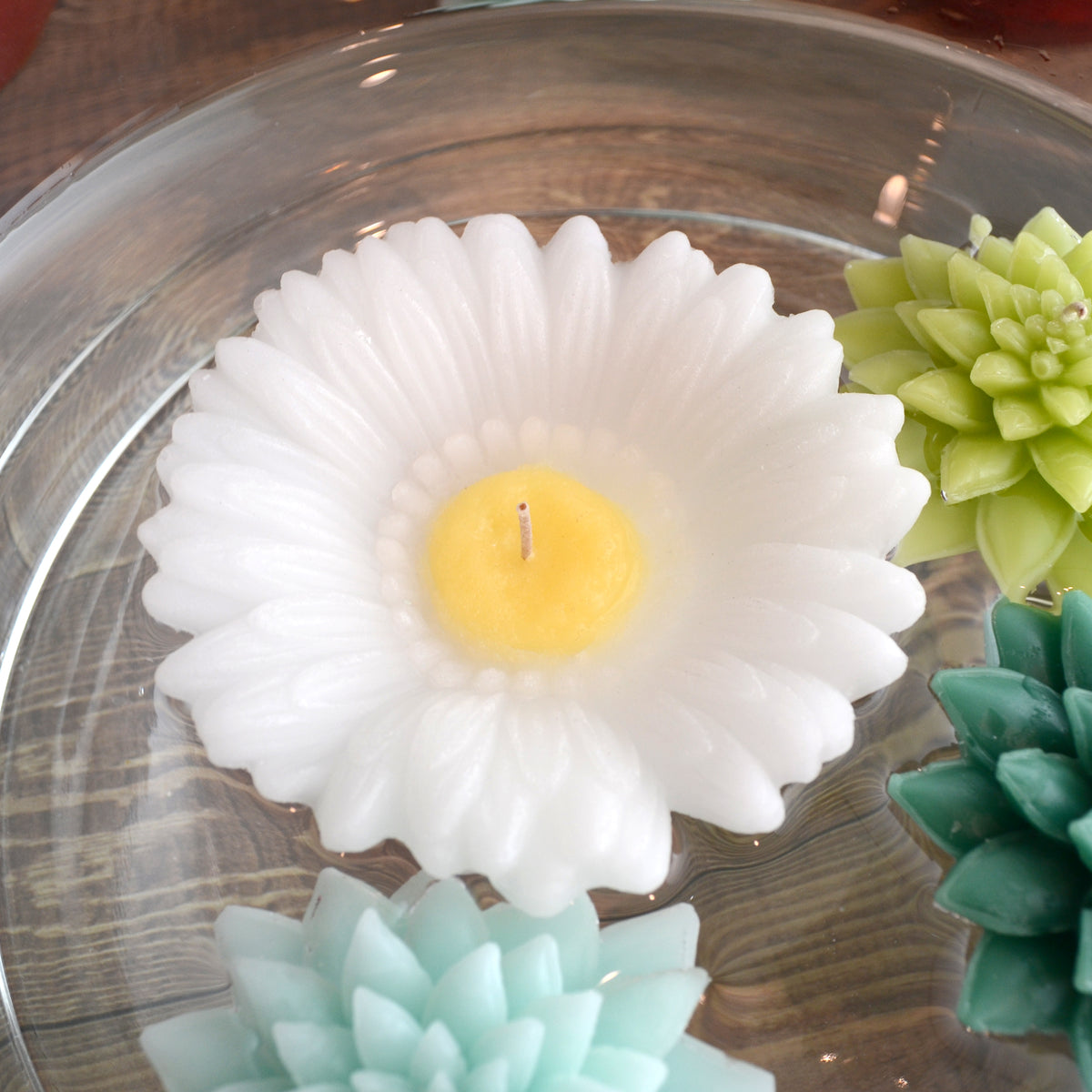 DAISY FLOATING CANDLE – glowlitecandles